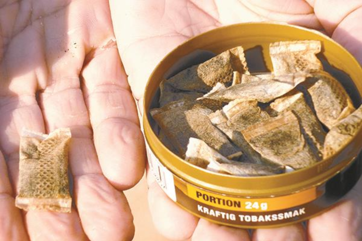 Understanding the Popularity of Nicotine Mouth Pouches Among Young ...